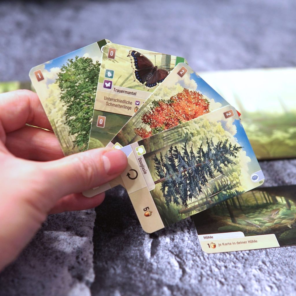 Rezension „Mischwald“ (+ Erweiterungen) – Spielmonster.de